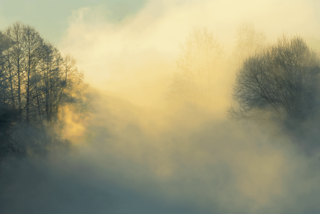 The Fog is Clearing & We’re Getting Clarity - Tower-Commercial